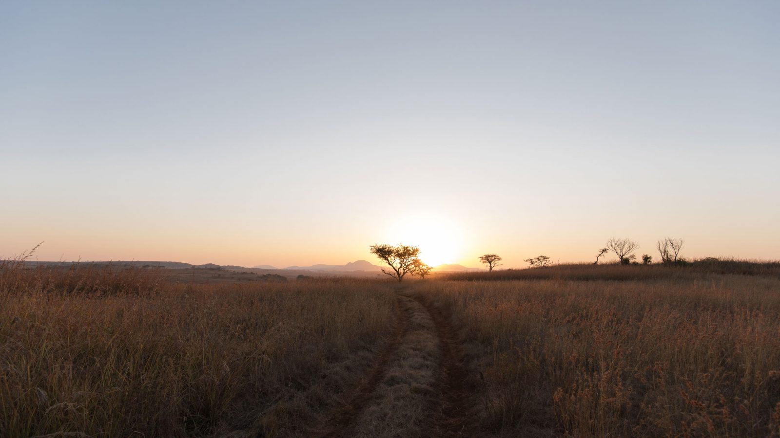 Nambiti Private Game Reserve: South African Safari - The Moving Lens